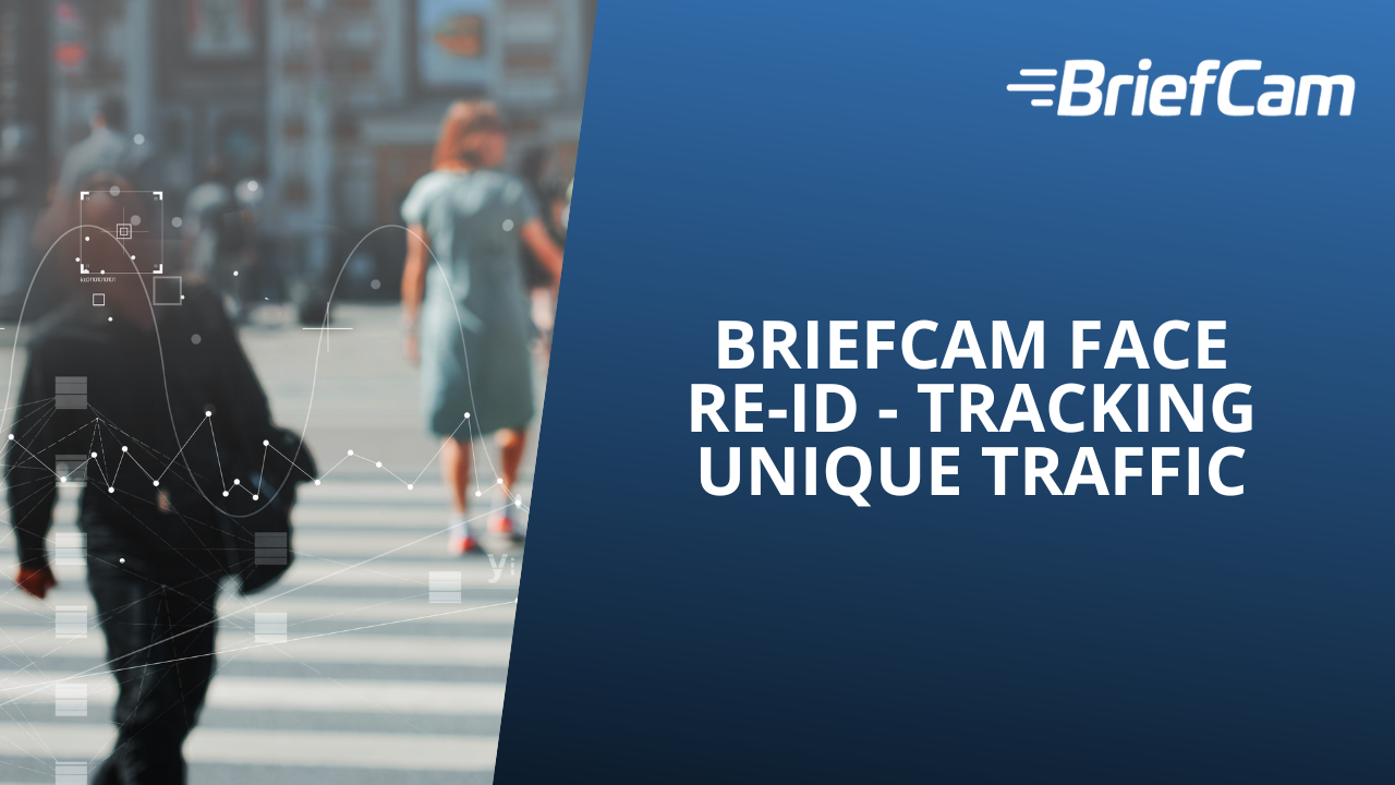 Video samples of software that analyze video surveillance | BriefCam